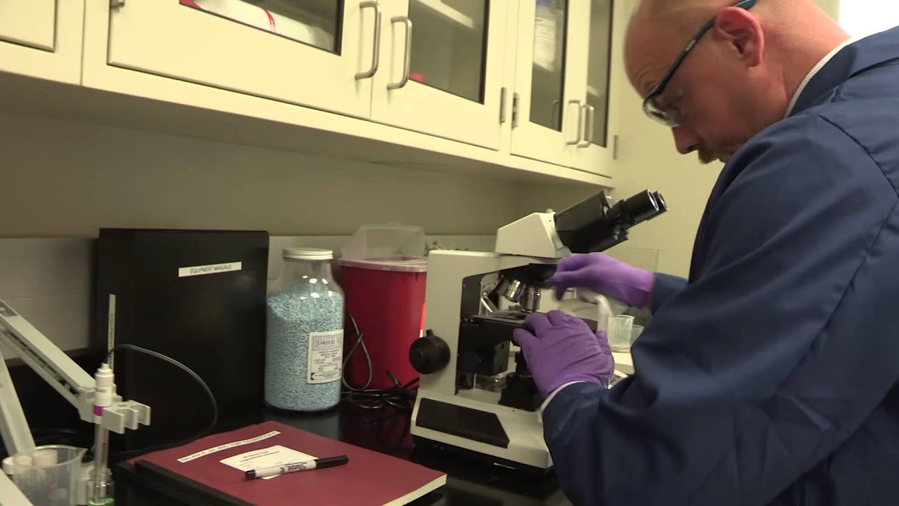 The Buzz: PWC Science Accelerator - YouTube