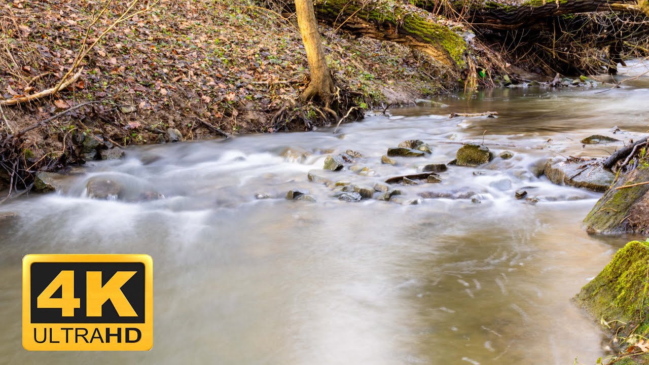 4K Gentle Stream (10 Hours) - Forest and flowing Water Calming Sounds - YouTube