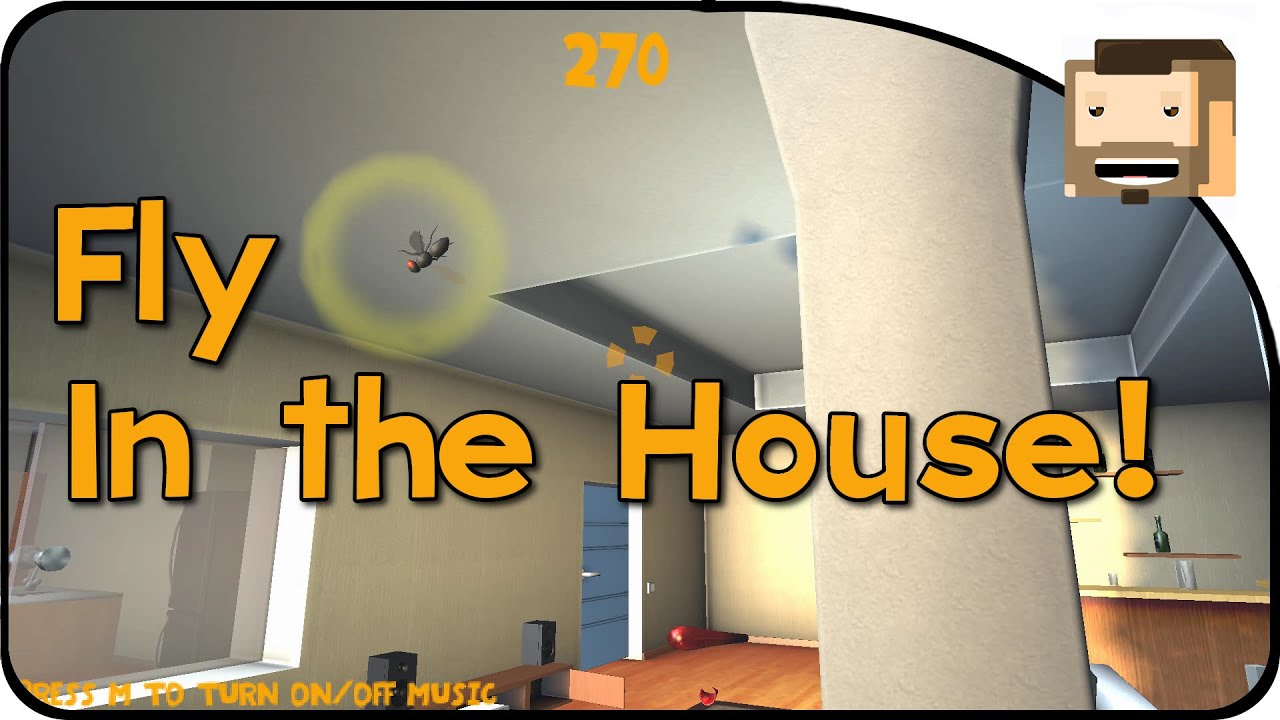Fly In The House Gameplay - YouTube