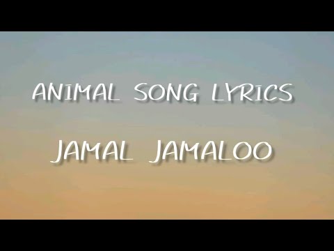 Jamal Jamalo - lyrics version original song | Mohd Kaif #animalsong # ...