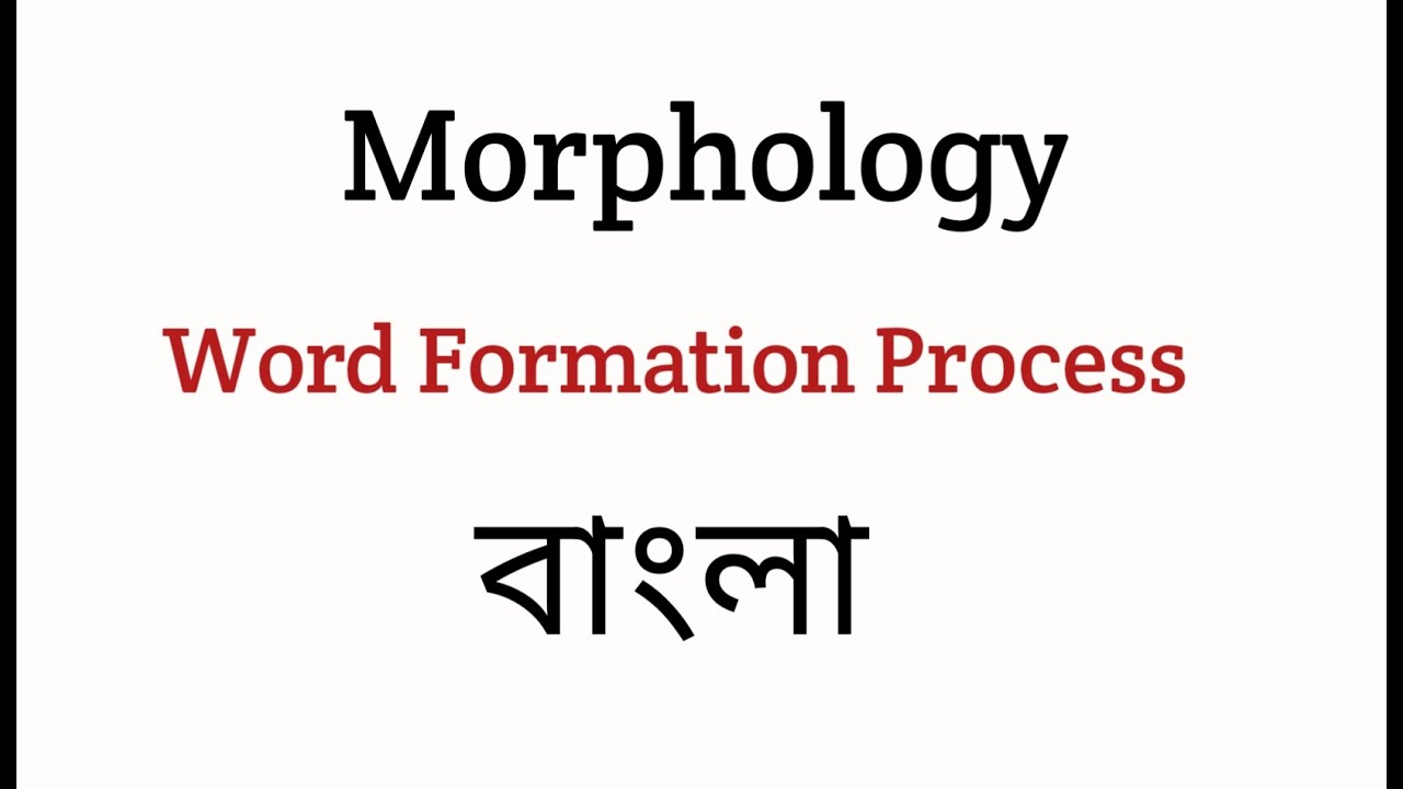 Morphology in Linguistics / Word formation process - YouTube
