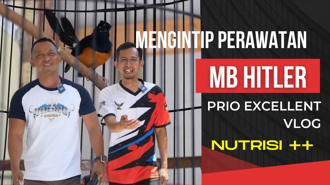 MR.PRIO SIDAK PERAWATAN MB HITLER || PRIO EXCELLENT VLOG - YouTube