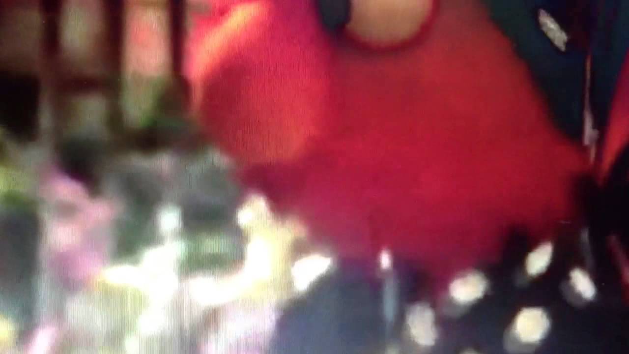 Elmo's Butterfly Song - YouTube