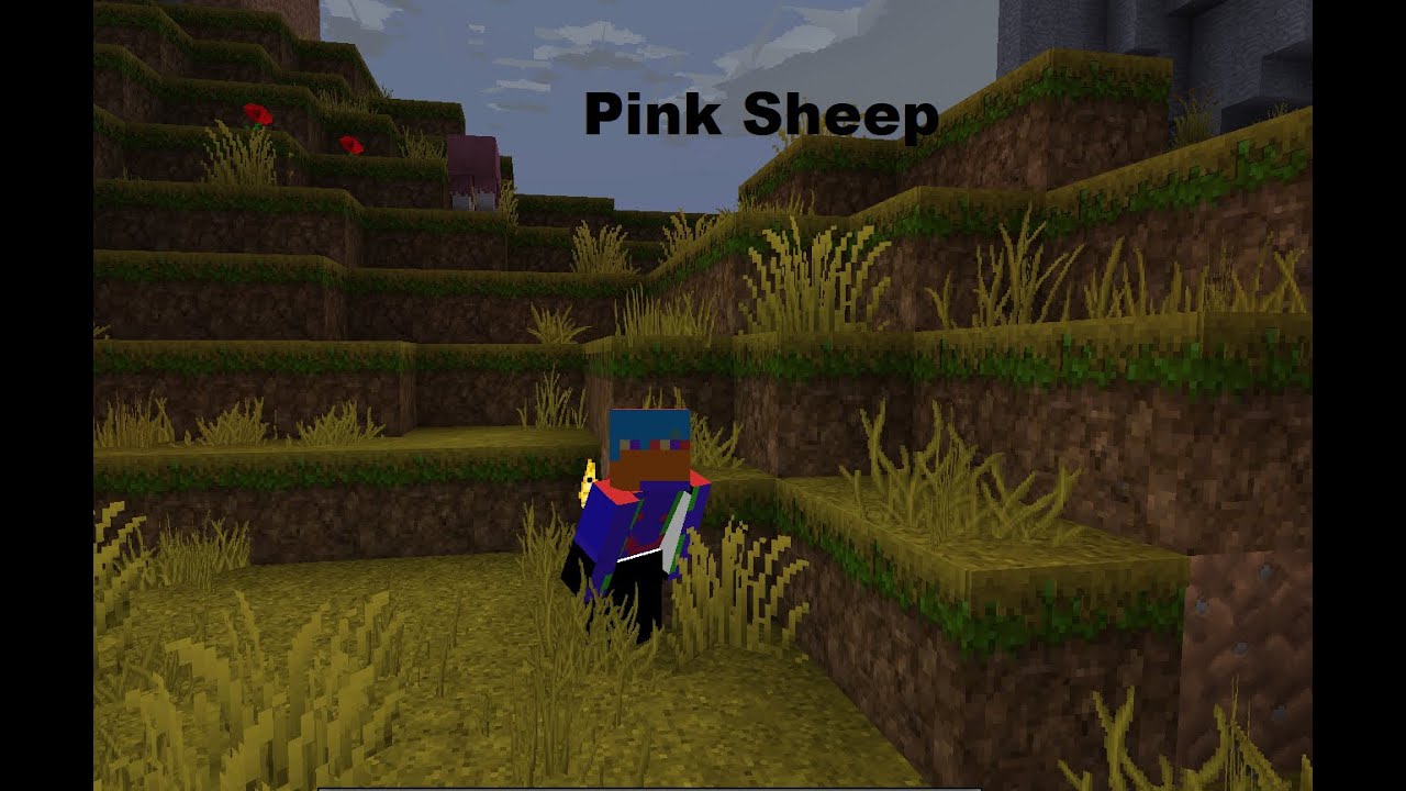 minecraft miracle pink sheep - YouTube