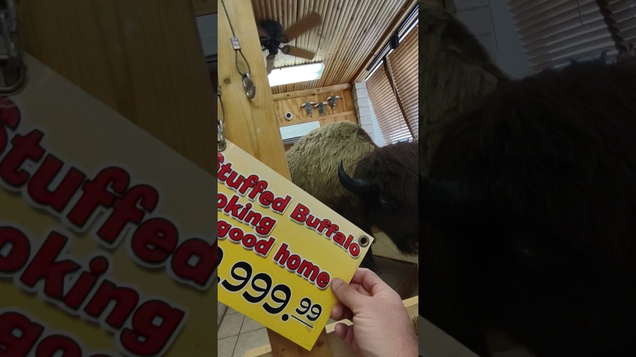 Bowlin's Flying C Ranch New Mexico - YouTube