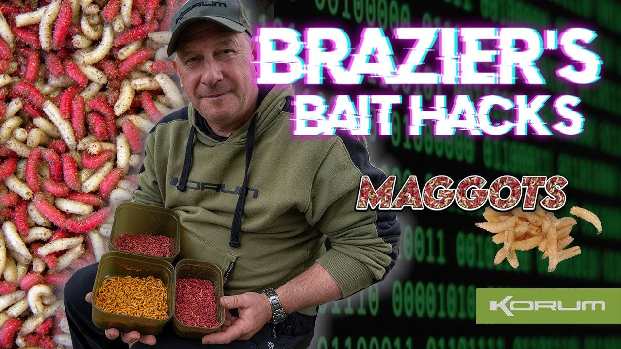 BRAIZERS BAIT HACKS - MAGGOTS - YouTube