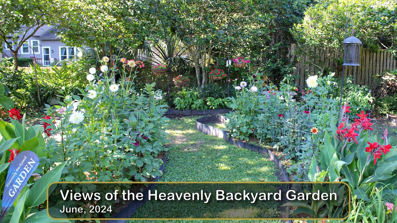 Views of the Heavenly Backyard Garden on Jun 7, 2024 - YouTube