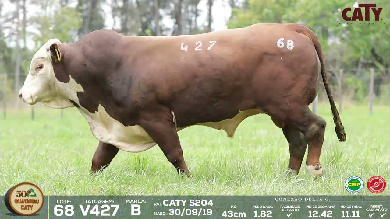 Lote 68 - V427 - YouTube