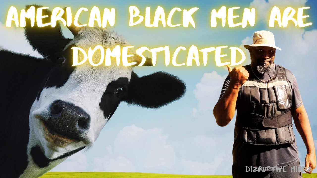 American Black Men Are The Most Domesticated Men On The Planet # ...