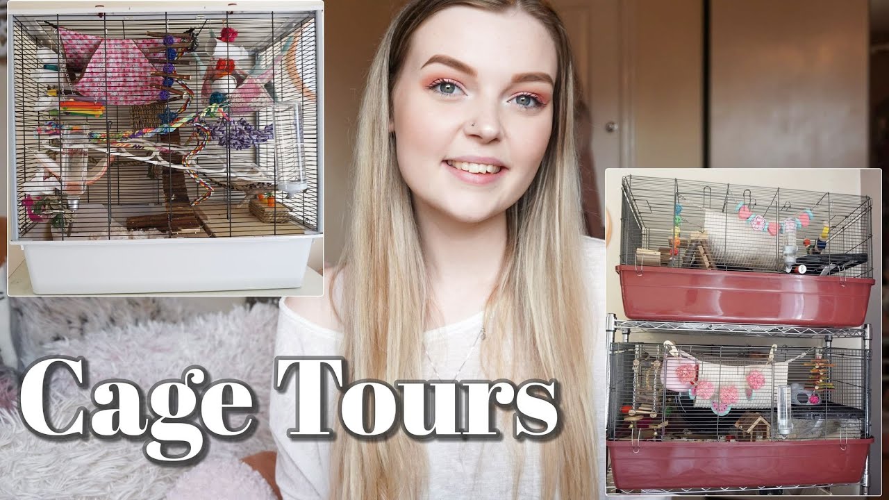 Pet Room Tour / Cage Tours / Hamster Cage Tour/ Rat Cage Tour - YouTube