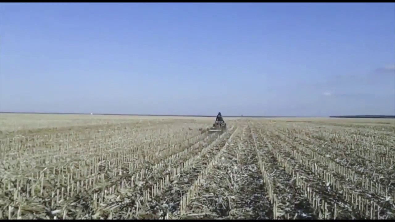 Geocarta - ARP prospection - corn fields in Romania, fall 2017 - YouTube