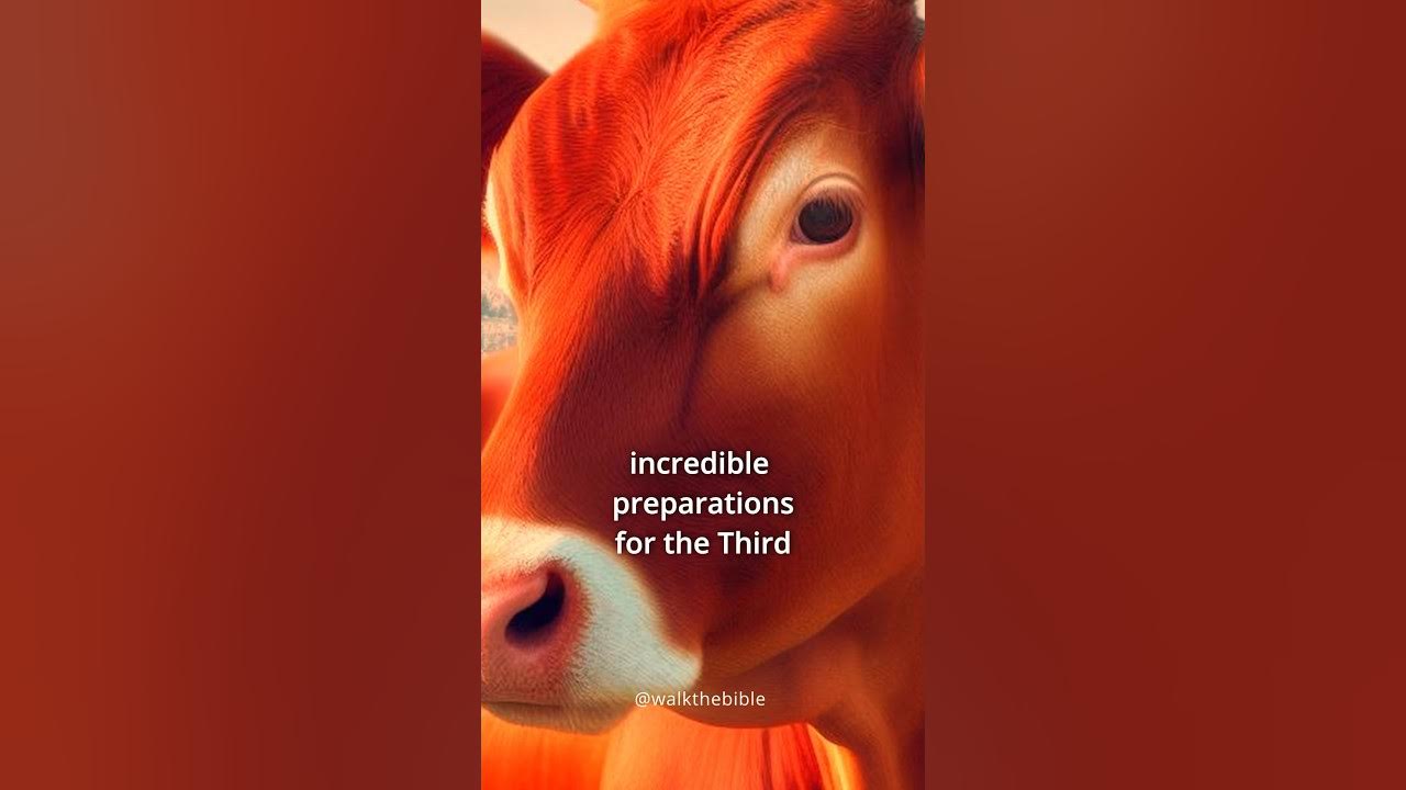 Third Jewish Temple to Replace Dome of the Rock - YouTube