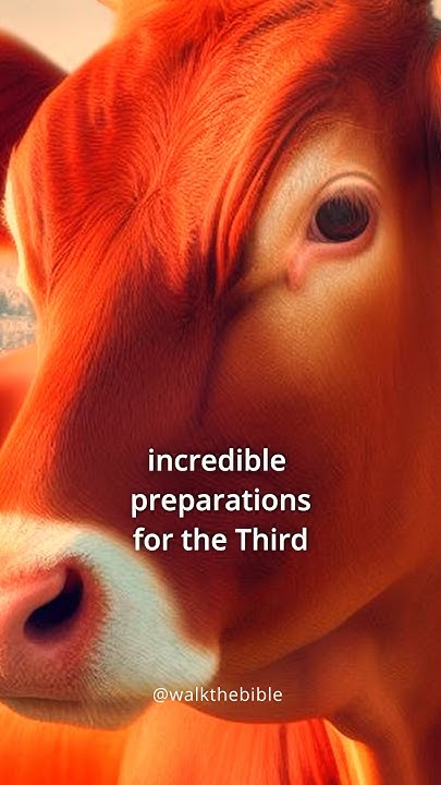 Third Jewish Temple to Replace Dome of the Rock - YouTube