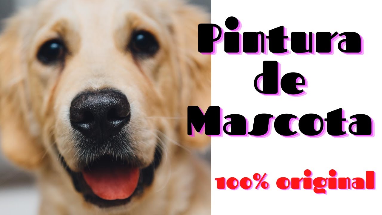 PINTURA DE MASCOTA - RETRATO DE MASCOTA 2020-Pintando un perro (fast ...
