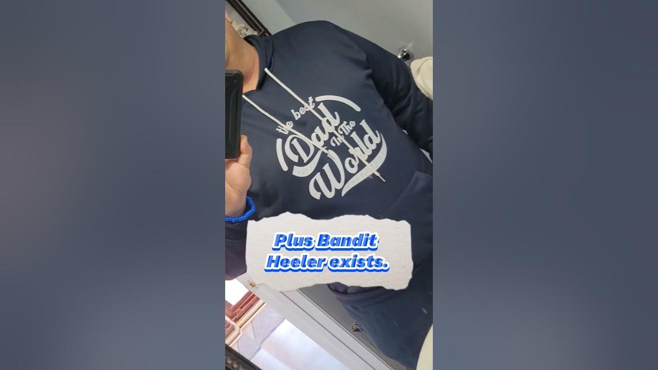 Theres Only One True Best Dad And Im Not Himdad Dadlife Bandit