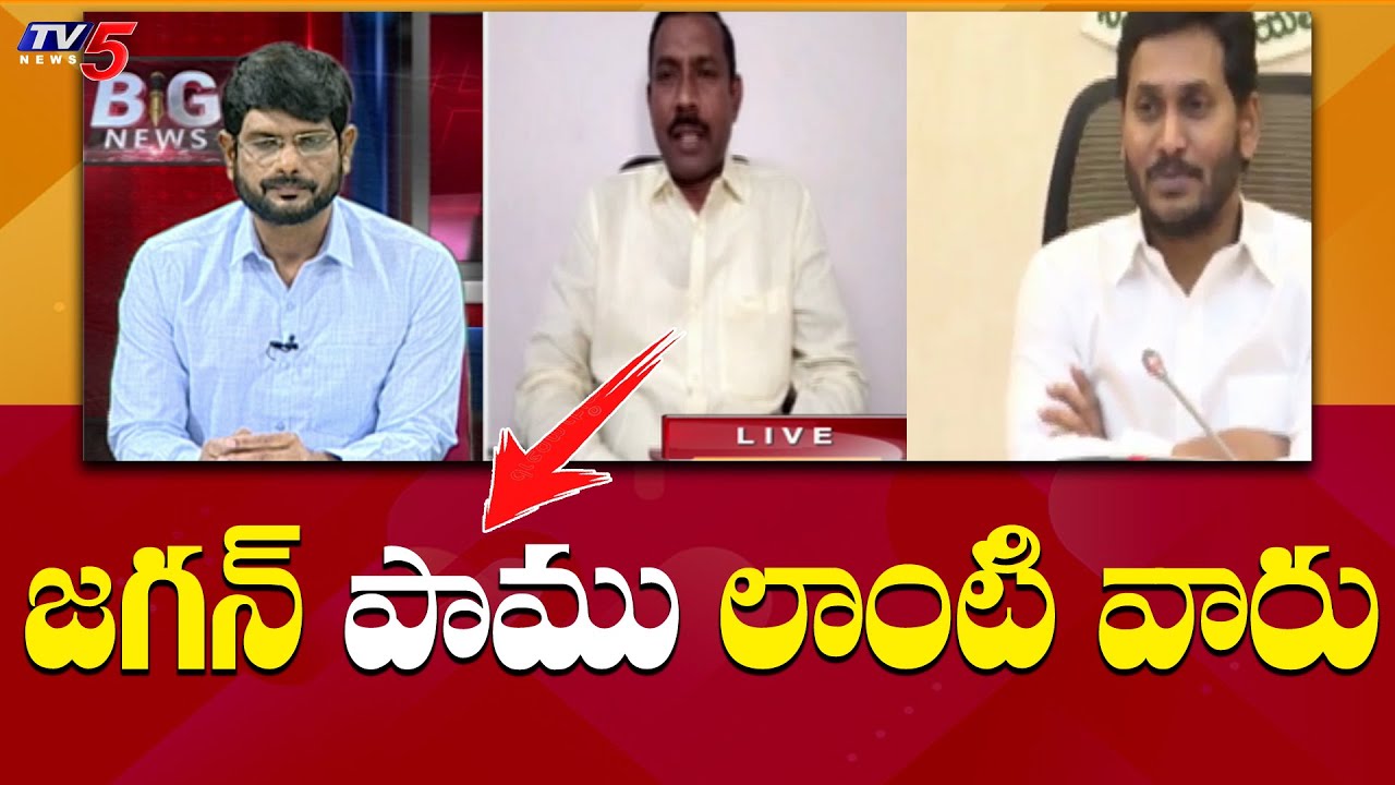 జగన్ పాము లాంటి వారు | TDP Leader Palla Srinivas | TV5 News - YouTube