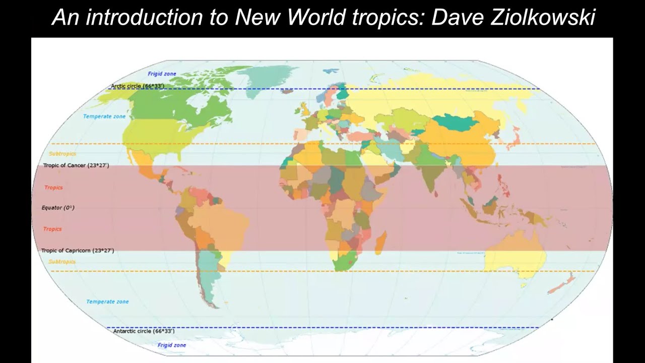 An introduction to birding in the New World tropics: Dave Ziolkowski ...