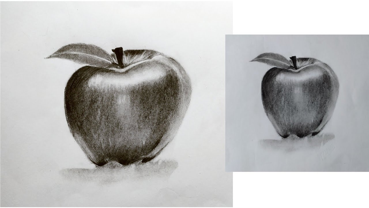 How To Draw An Apple || Realistic Apple Drawing || Girija's Creation ...