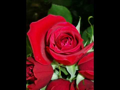 Που να γυριζεις - Λεωνιδας Μπαλαφας - YouTube