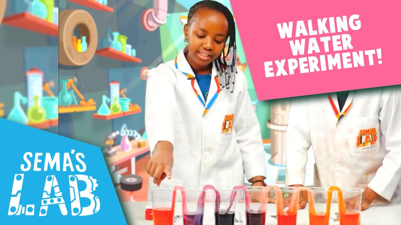 Walking Water | Science Experiment for Kids | Sema's Lab | Super Sema ...