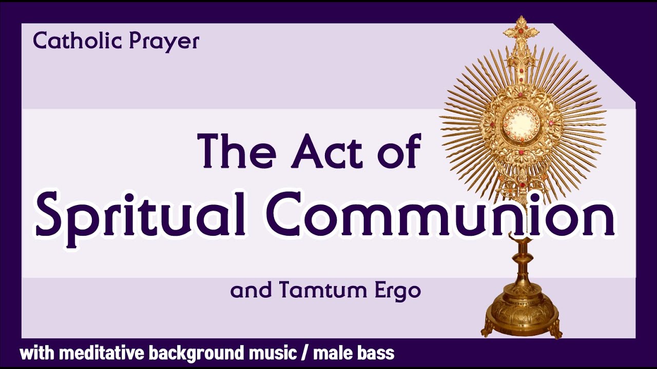 [Catholic Prayer] The Act of Spiritual Communion and Tamtum Ergo - YouTube