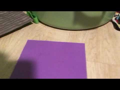 Dog dog gets grounded - YouTube