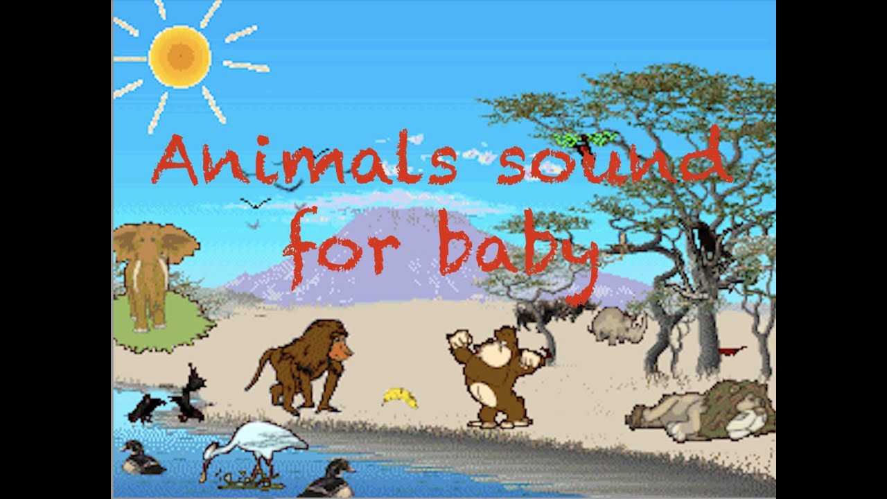 Animals Sound for baby || Sound for baby smile and brain development ...
