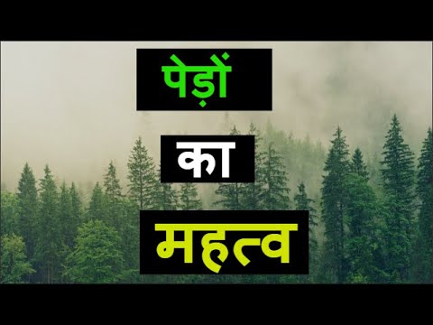 Importance Of Trees | पेड़ों का महत्व | Importance Of Trees In Hindi ...