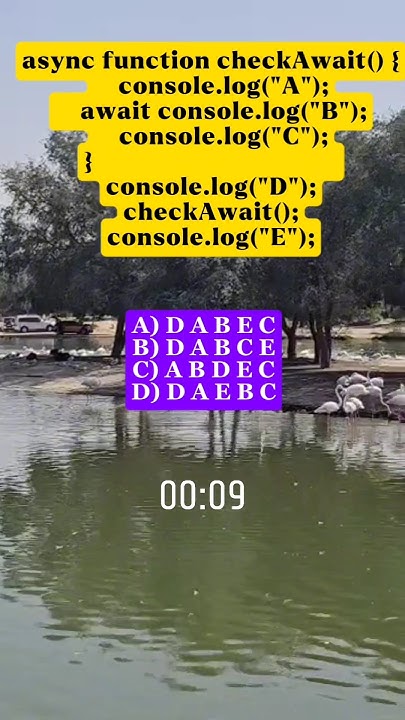 🔥 Javascript Async Trick Question 🚀 Can You Guess The Output 🤔 Javascript Freshers Quiz