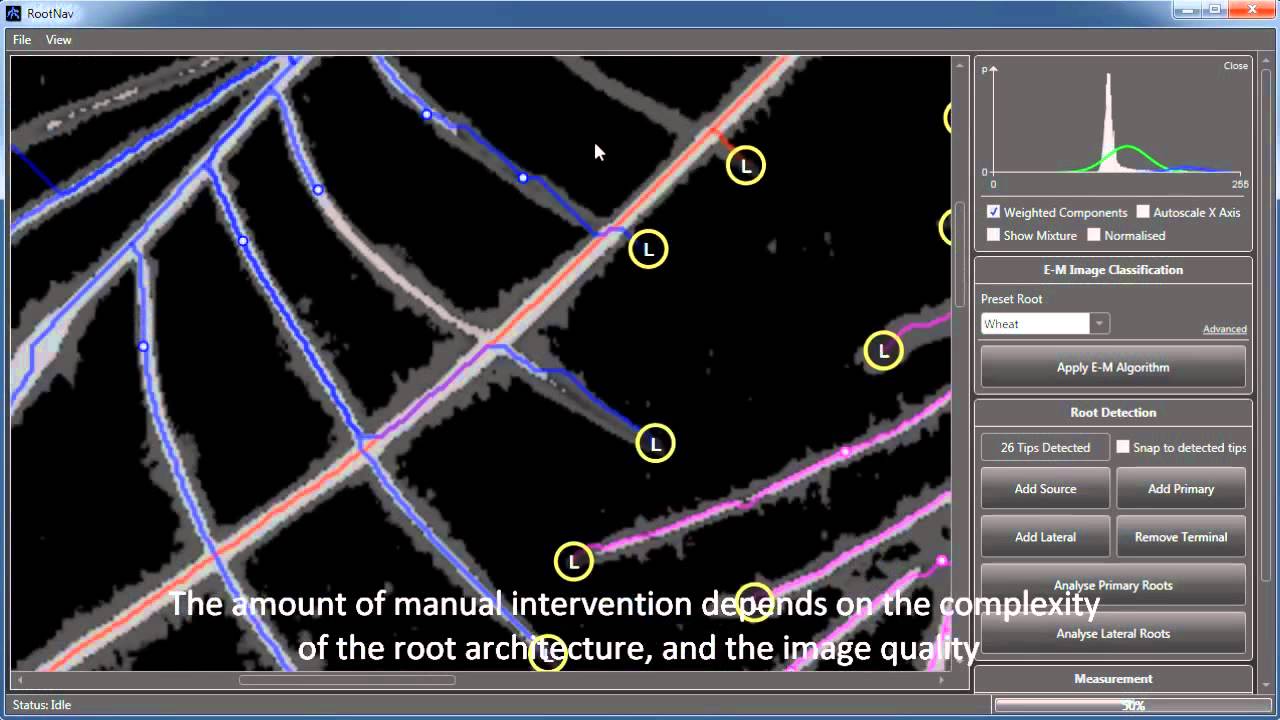RootNav Demonstration - YouTube