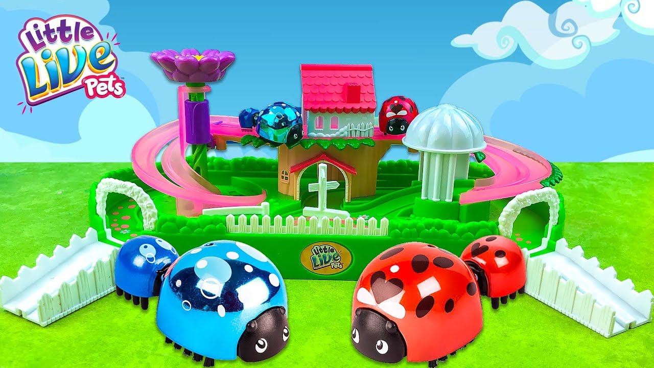 Little Live Pets - Uğur Böceği Oyun Seti | Ladybug Play Set | EvcilikTV ...