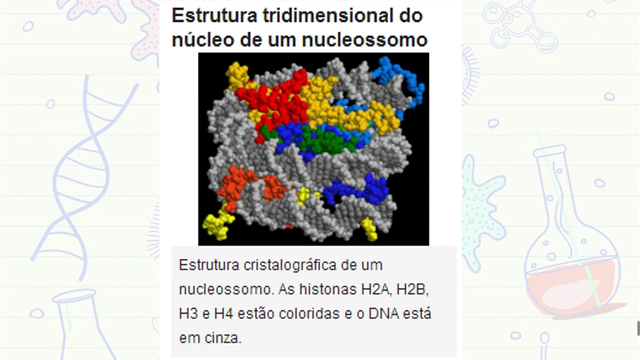 Aula 02_2C: Núcleo Celular Composição (Parte 2) - YouTube