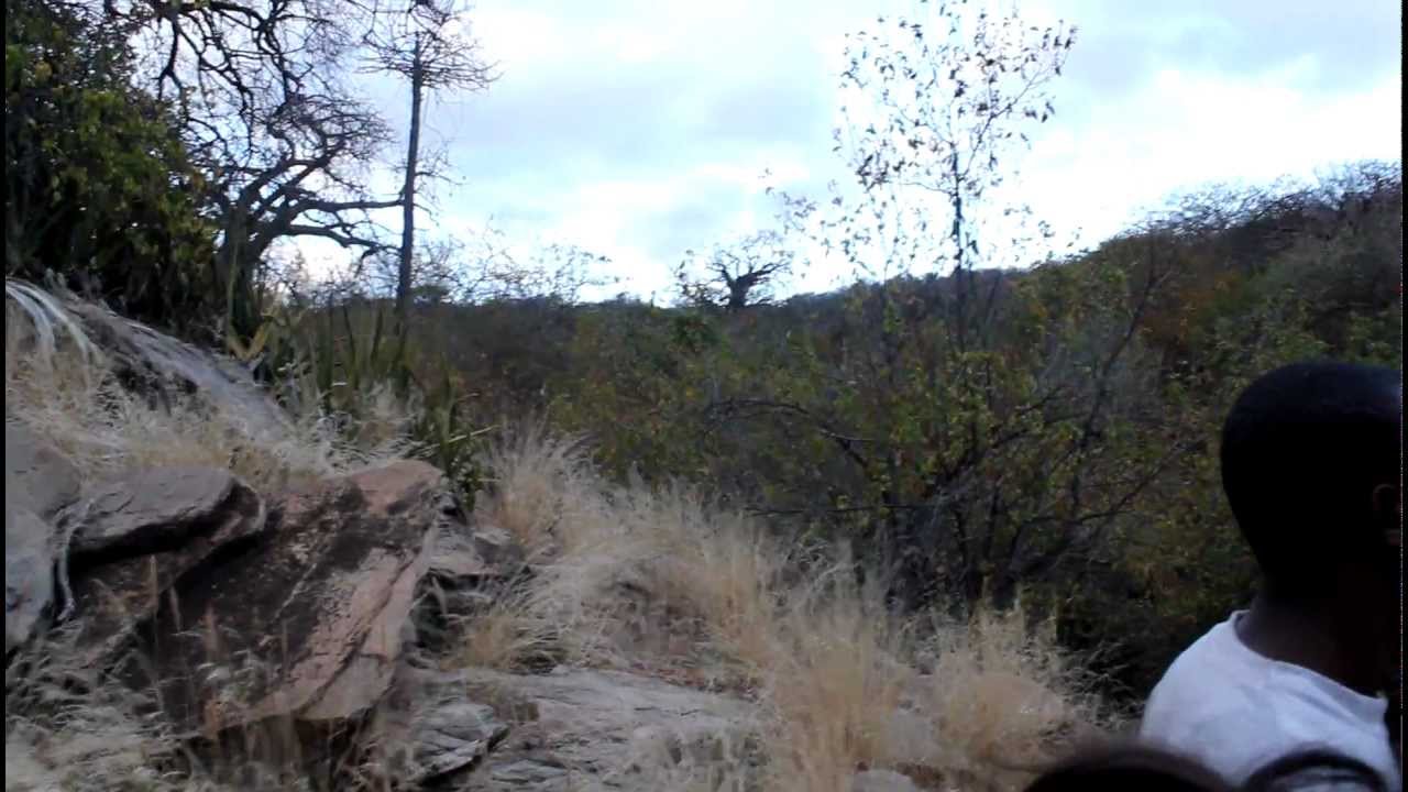 Africa - Tanzania - Hadzabe Tribe - Baboon Hunt with Arrows - YouTube