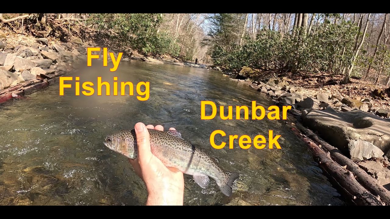 Dunbar Creek Fly Fishing March 2025 - YouTube