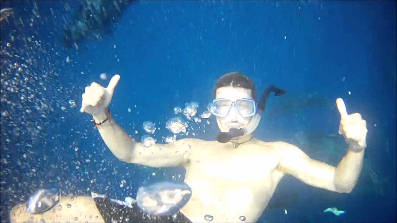 Malta Tuna Diving / Snorkelling September 2014 - YouTube