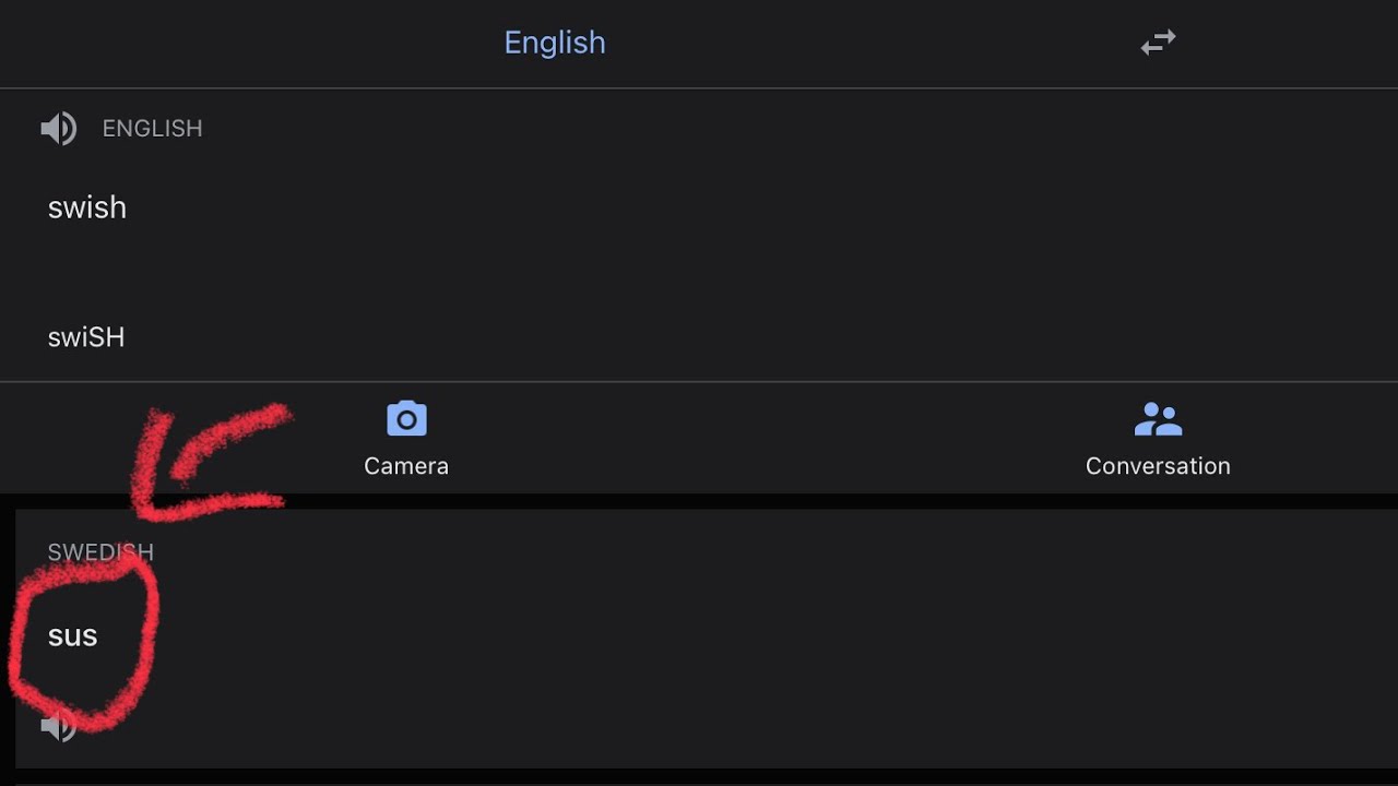 Google translate is extremely sus - YouTube