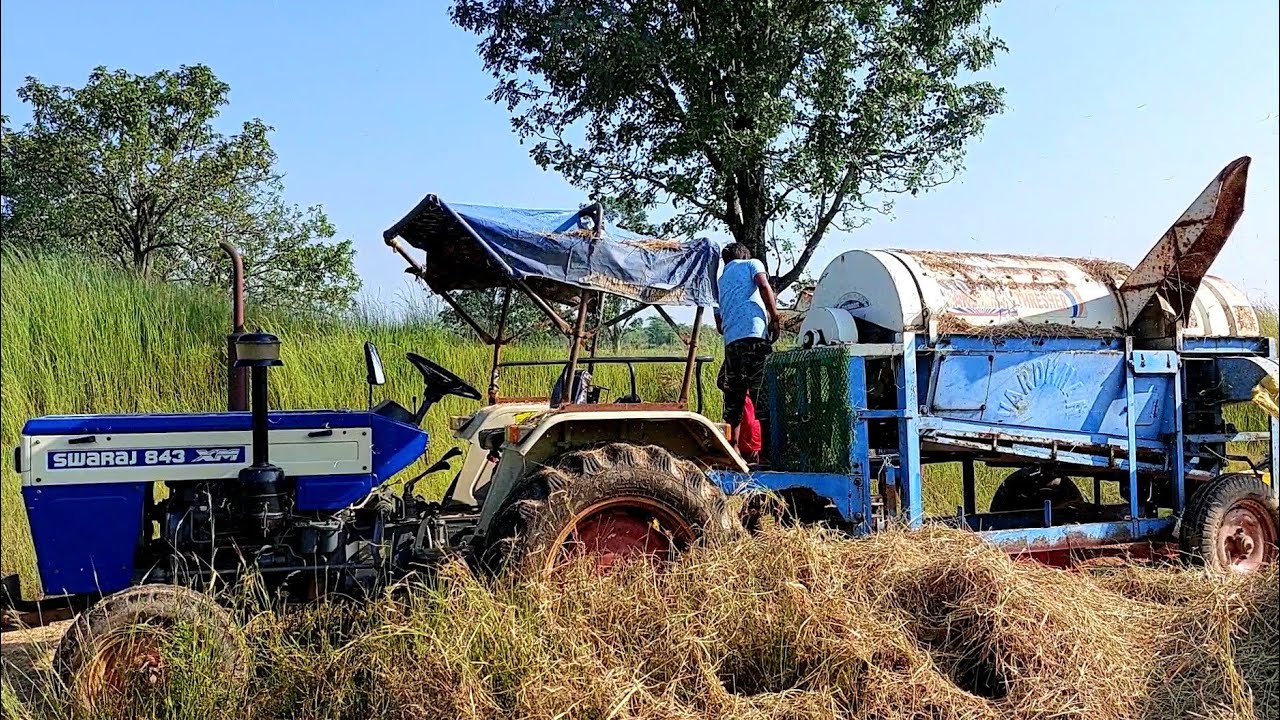Swaraj Tractor Pulling Paddy Thresher Machine For Harvesting Rice ...