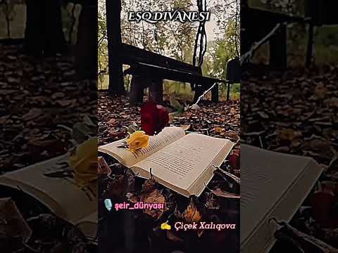 Eşq divanəsi - ✍️ Çiçək Xalıqova 🎙️ şeir _dünyası#keşfet #fypyoutube #aboneolmayiunutmayin #şeirler