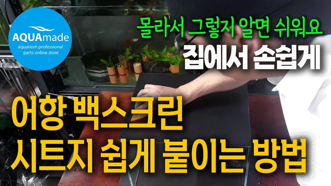 어항 백스크린 시트지 쉽게 붙이는 방법 한 번도 유리에 시트지 안 붙여 본 물린이들만 보세요 Youtube