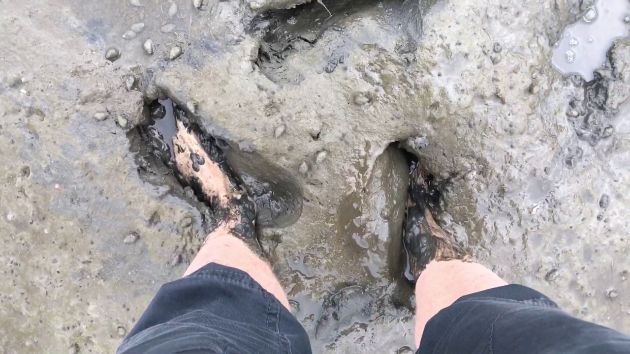 Rowley River Clam Flats Pt 3 - YouTube