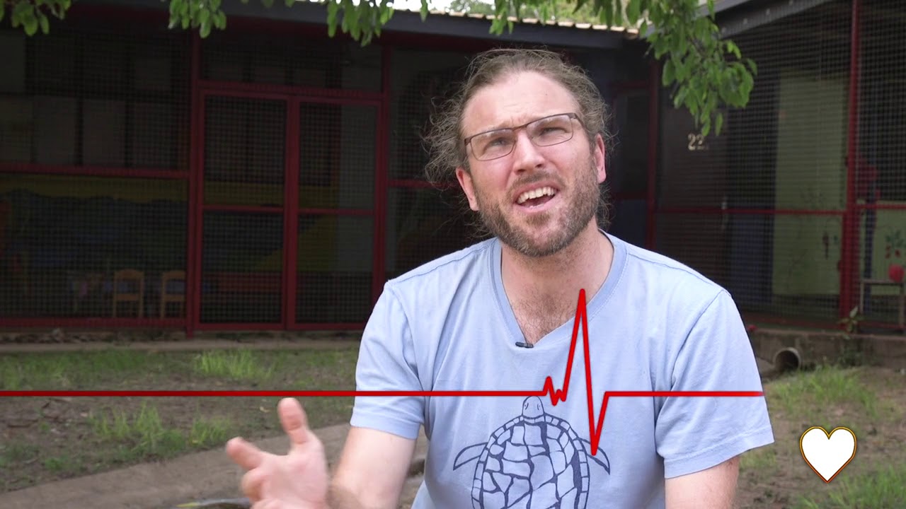 Ending RHD in Australia - Take Heart - YouTube