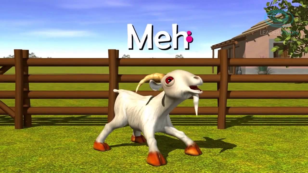 The Little Chick Cheep - Pollito Pío - English Version - YouTube