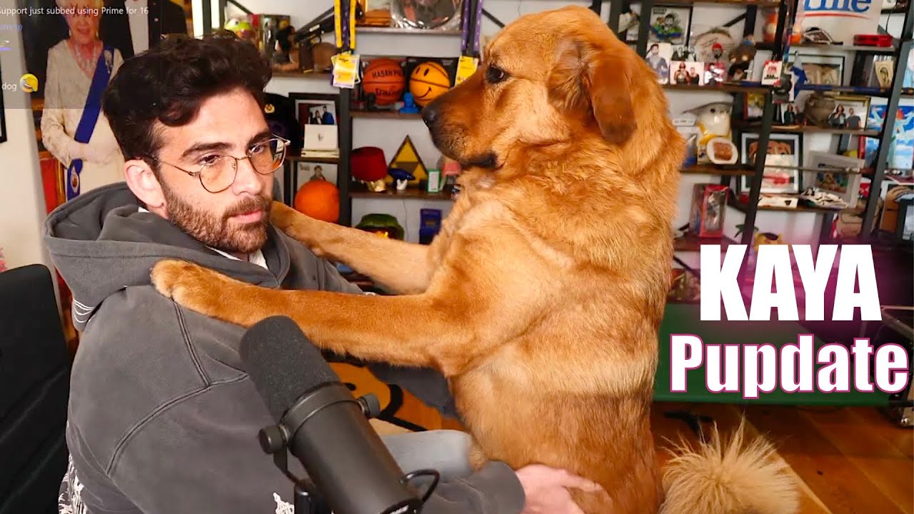 Hasan Gives A Kaya Pupdate | HasanAbi Reacts - YouTube