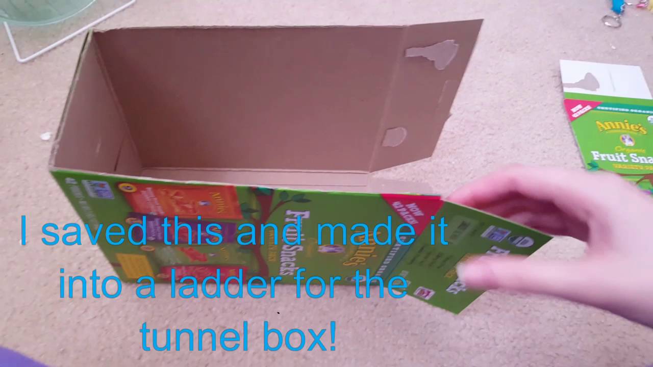 3 Easy DIY Hamster Toys! - YouTube