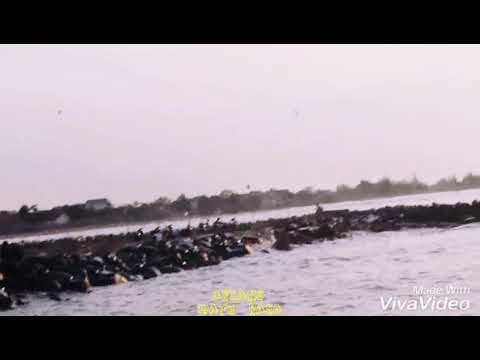 Arians mati rasa_indie batang - YouTube