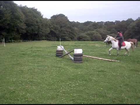 pounse end my - YouTube