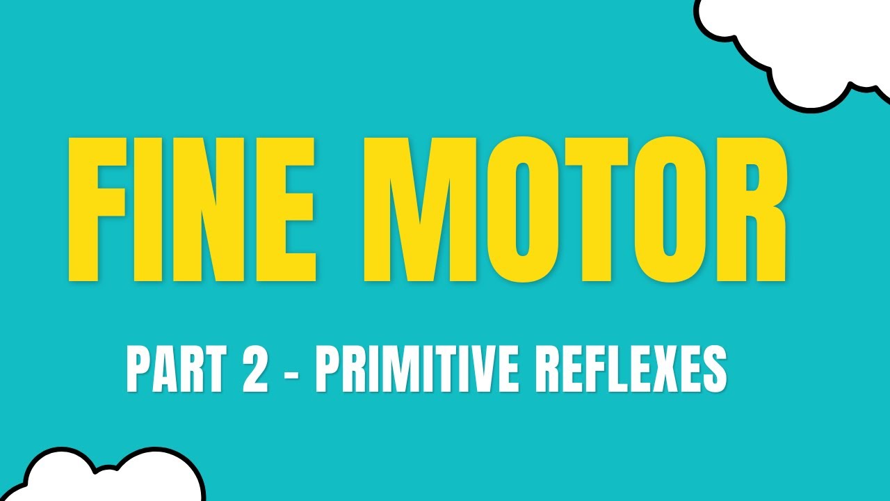 Building Fine Motor Skills - Part 2 Primitive Reflexes - YouTube