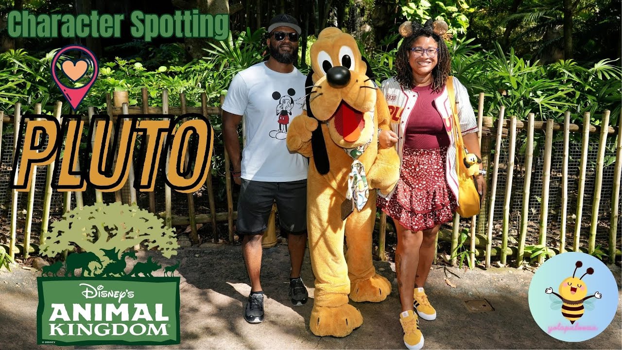 Meeting Pluto in Animal Kingdom - YouTube