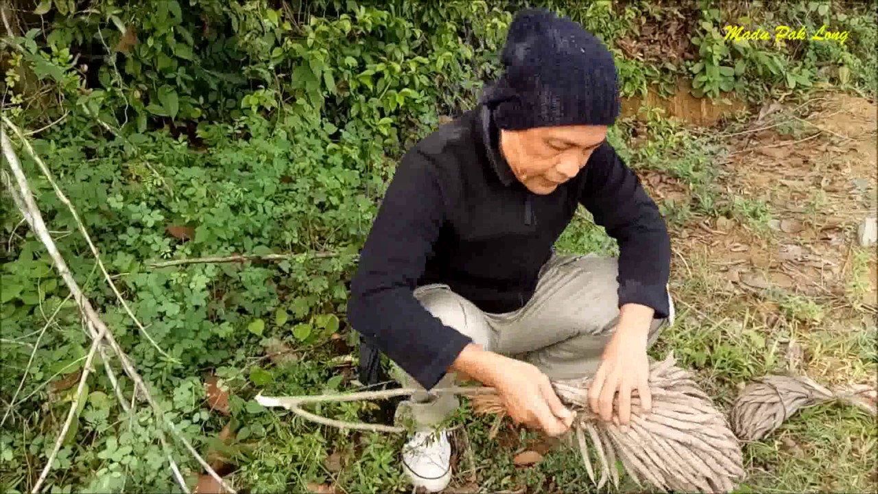 Madu Pak Long (Rakaman Tuai Madu Lebah Tualang) - YouTube