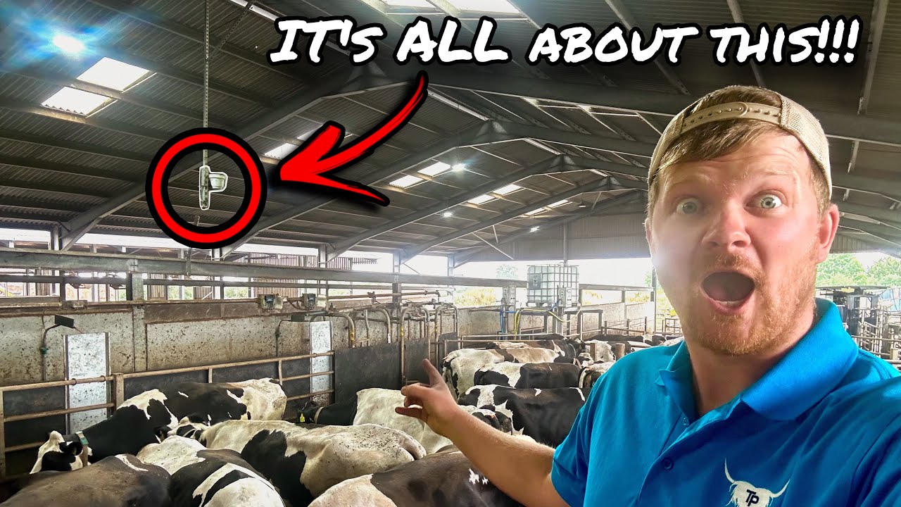 HOW THE BEST KEEP GETTING BETTER... | Tom Pemberton Farm Life | The ...